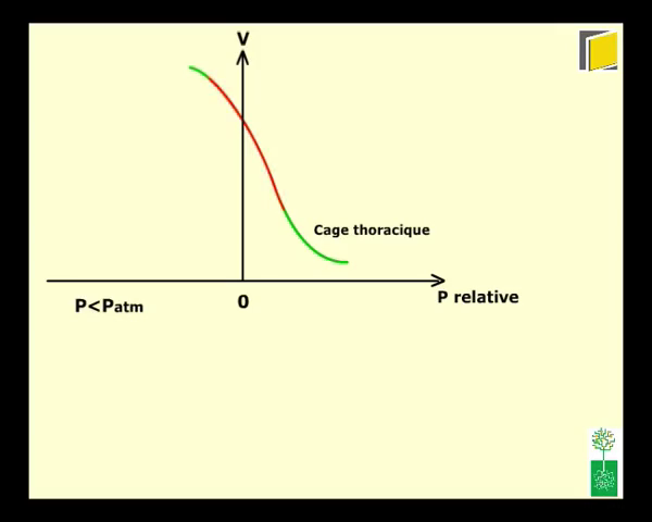 Media UTC - CoursTV - Santé / médecine - Respiration : Relation ...